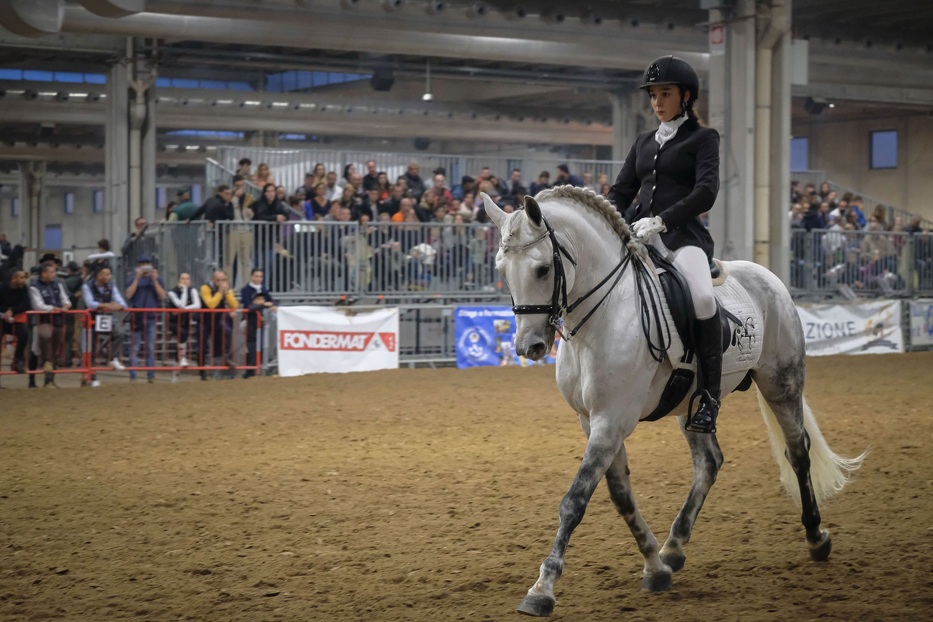 Rassegne allevatoriali - Cavalli a Roma 2020